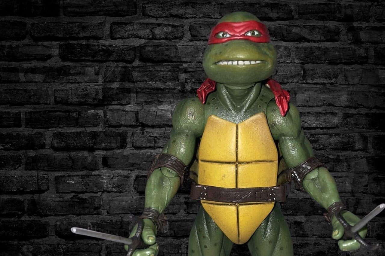 Who Is The Strongest Teenage Mutant Ninja Turtle? | 8-Bit Pickle