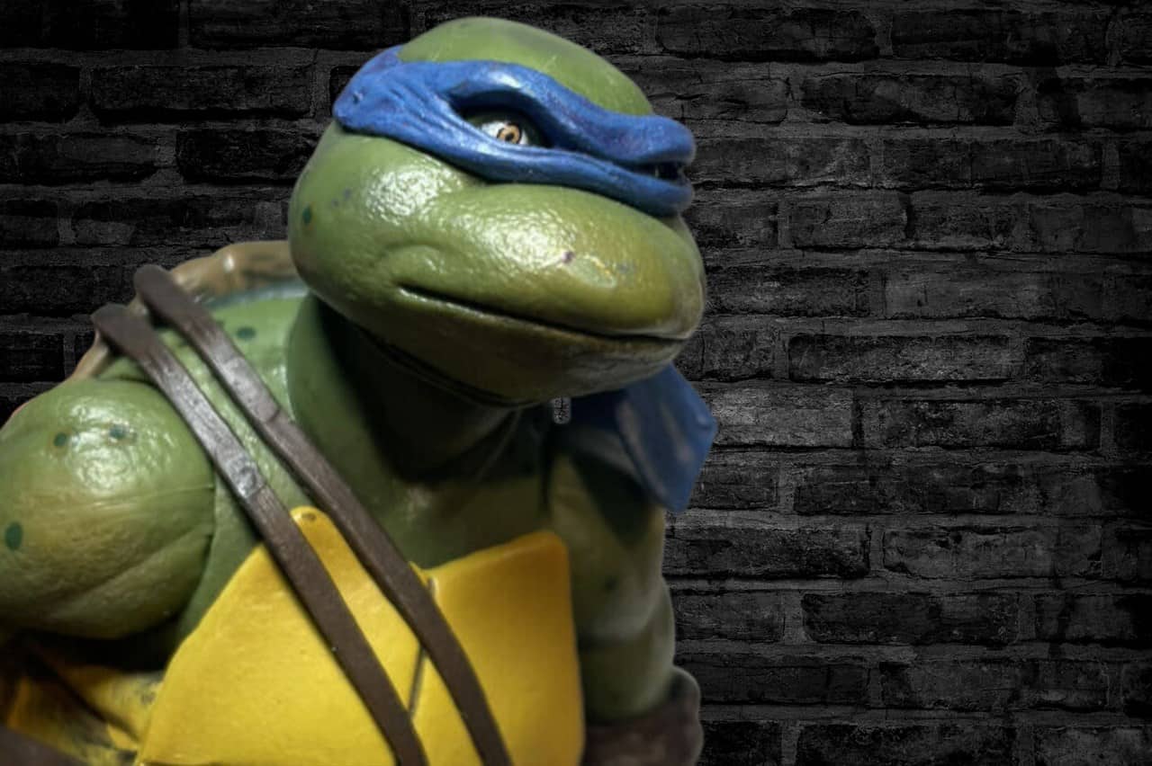 Who Is The Leader Of The Ninja Turtles? | 8-Bit Pickle